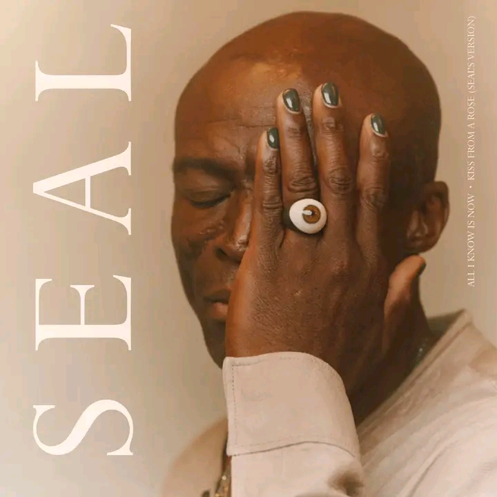 After Over A Decade, Celebrated Nigeria-American Soul Singer Seal Set ...